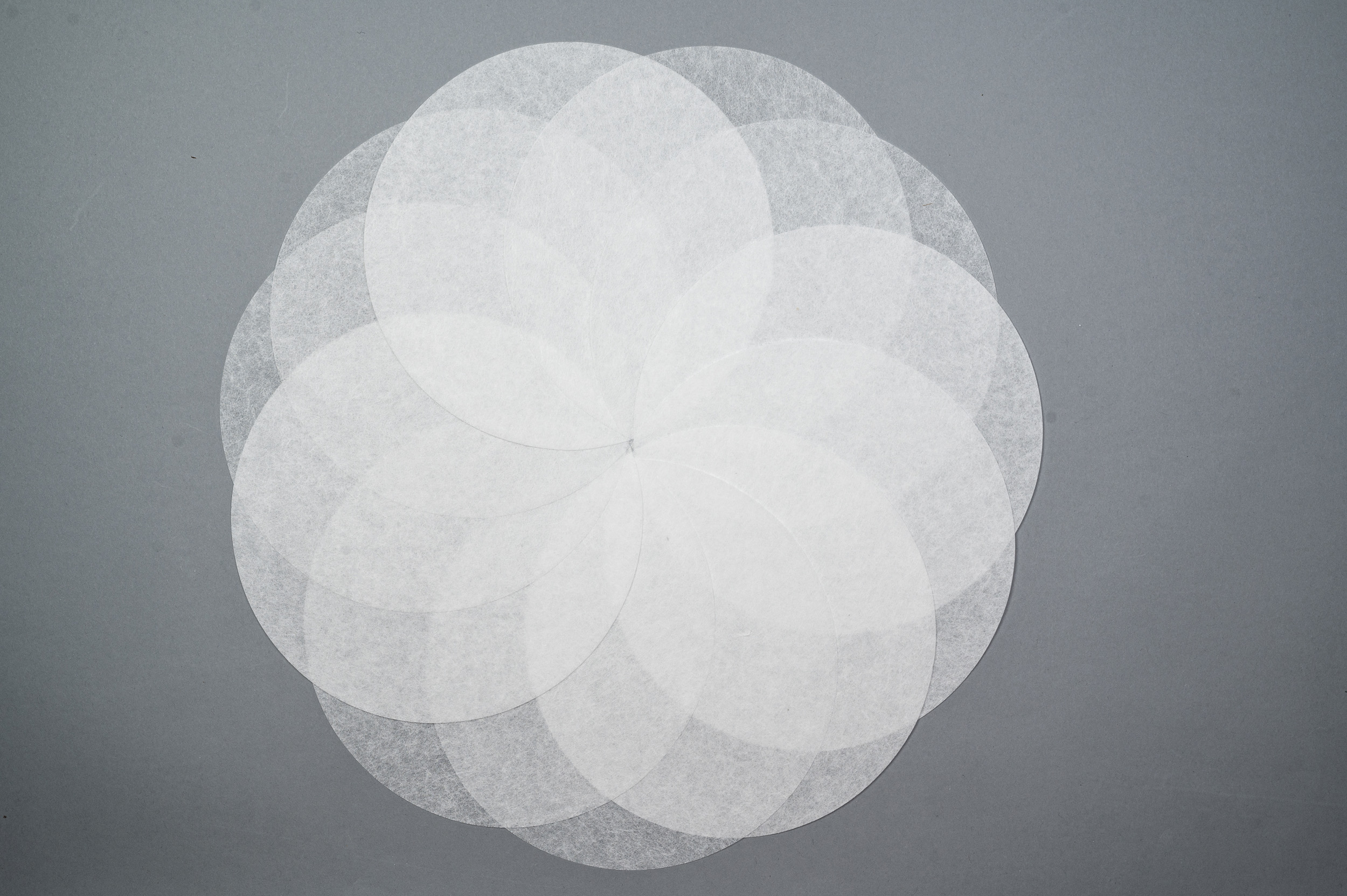 Milk filters - disc | Milk filtration | Products | Lekko B.V.